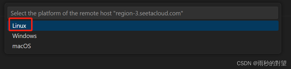 YOLOv5入门（三）使用云服务器autoDL、VSCode连接和WinSCP文件上传_autodl vscode-CSDN博客
