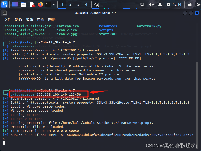 【内网安全-CS】Cobalt Strike启动运行&上线方法&插件_如何在本地打开cobalt strike-CSDN博客