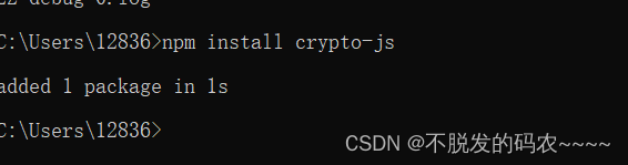 nodejs安装crypto-js_npm install crypto-js-CSDN博客