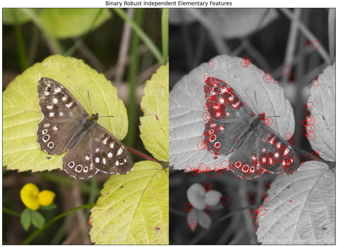 Python+OpenCV：图像二进制鲁棒独立基本特征(BRIEF, Binary Robust Independent Elementary Features)_opencv python ...