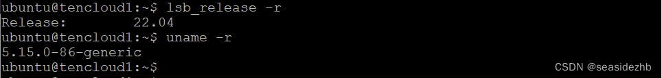 Ubuntu 22 04安装go 1 21 4编译器 Linux Ubuntu安装go语言1 21 4yijibianyiqi Csdn博客