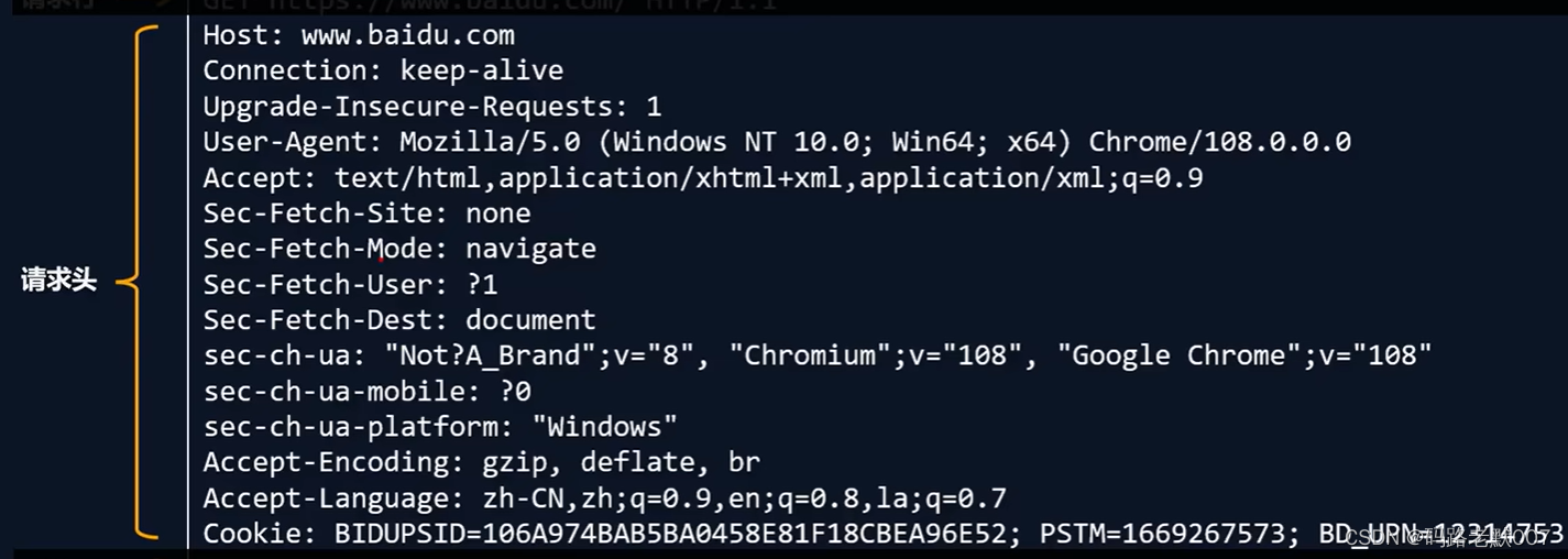 node.js基础-02-CSDN博客