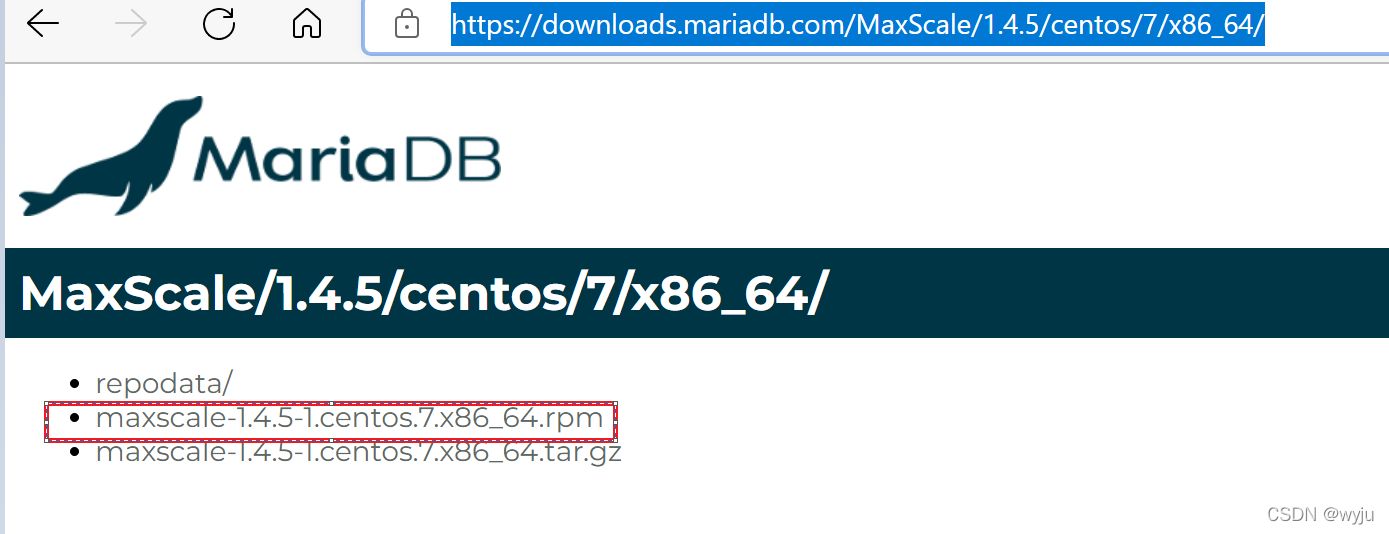 MaxScale安装与配置指南-CSDN博客