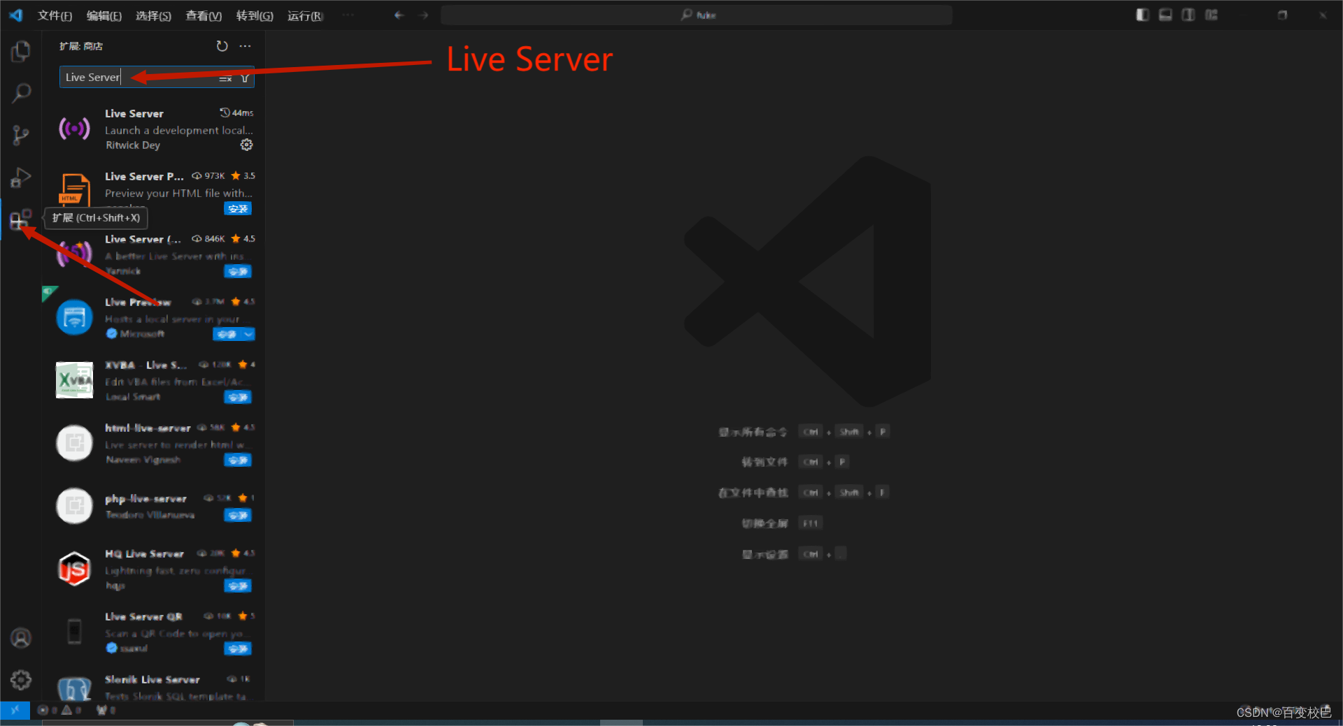 VSCode + Live Server 实现局域网访问加之Ngrok实现内网穿透，端口转发_vscode 本地部署局域网访问-CSDN博客