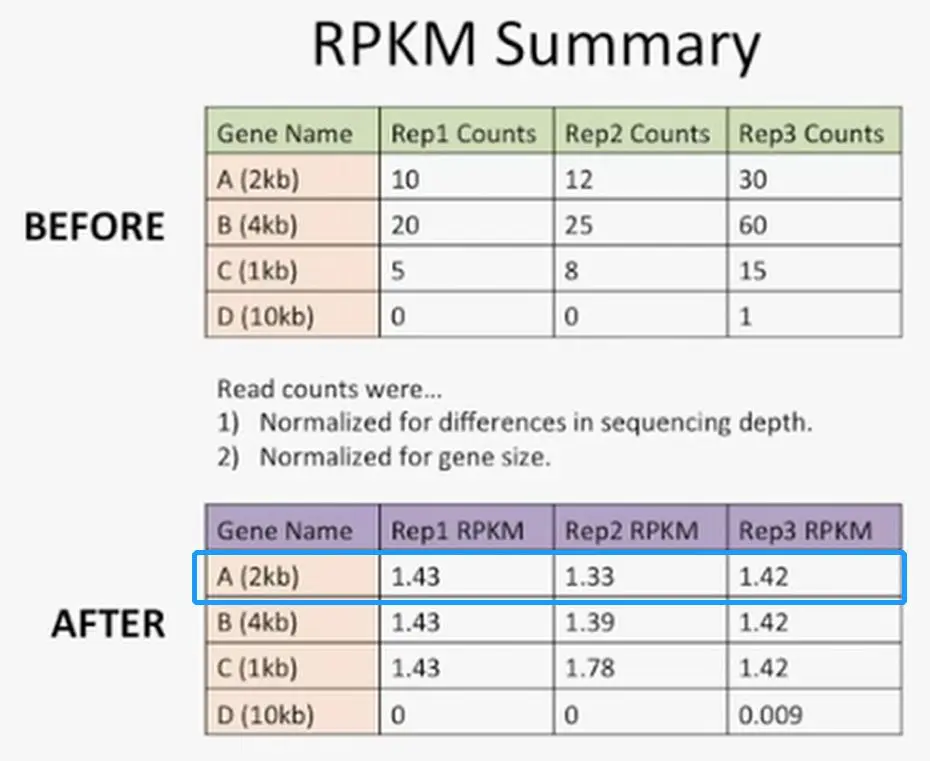 RPKM、FPKM 和 TPM cpm-CSDN博客