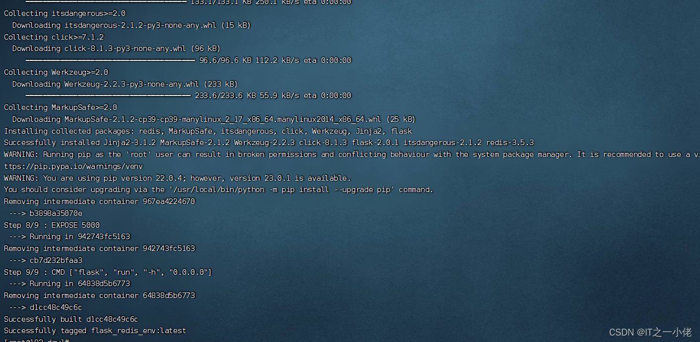 使用Dockerfile构建python项目镜像(flask框架+redis+环境变量)_dockerfile python项目-CSDN博客