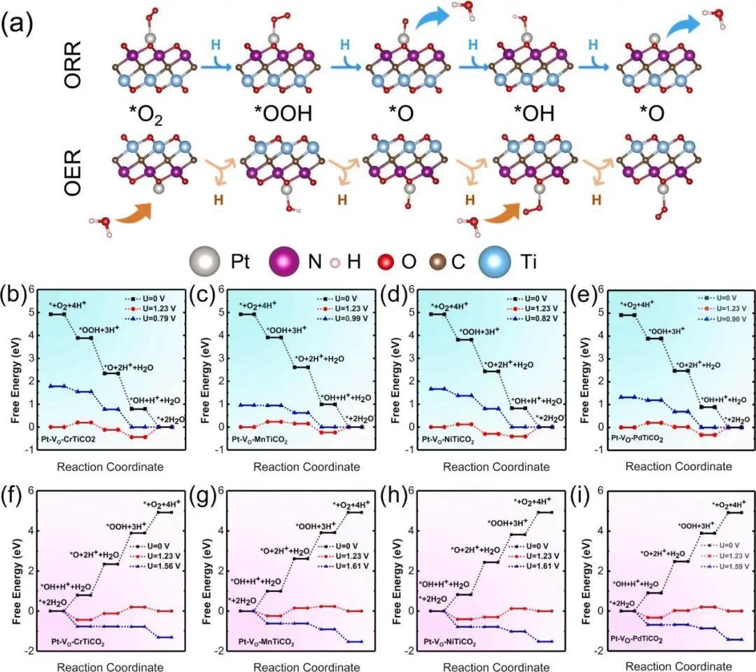 机器学习辅助探索影响ORR/OER双功能催化剂催化活性的内在因素_icohp代表化学键强度-CSDN博客
