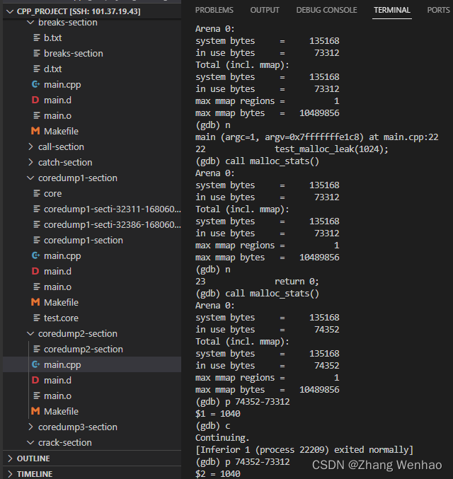 gdb内存检查_gdb 查看内存使用情况-CSDN博客
