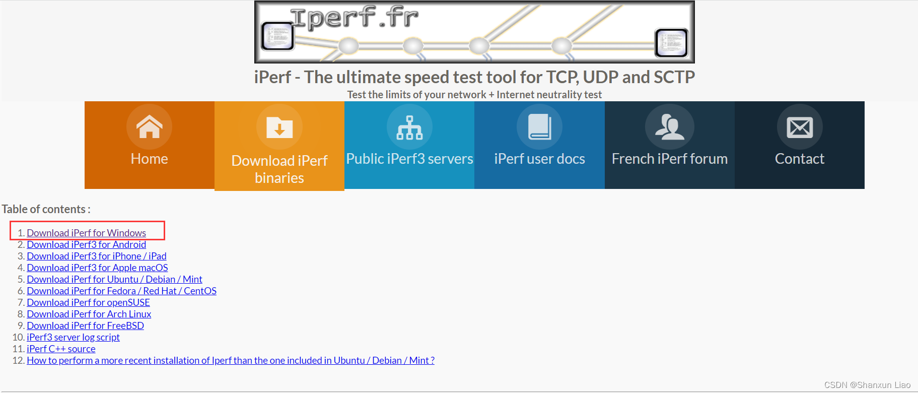 iPerf 3 网络性能测试工具及测试用例参数详解:_iperf测试udp时间-CSDN博客