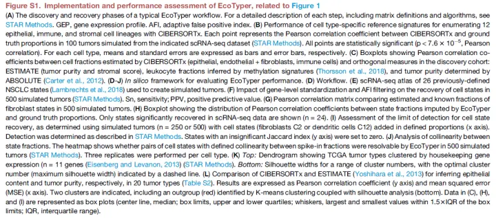 10X单细胞空间数据分析之表征细胞状态和生态型（EcoTyper）-CSDN博客