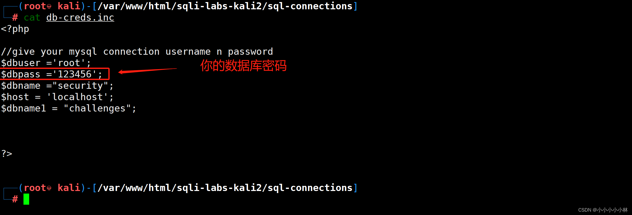 sqli-labs靶场搭建-CSDN博客