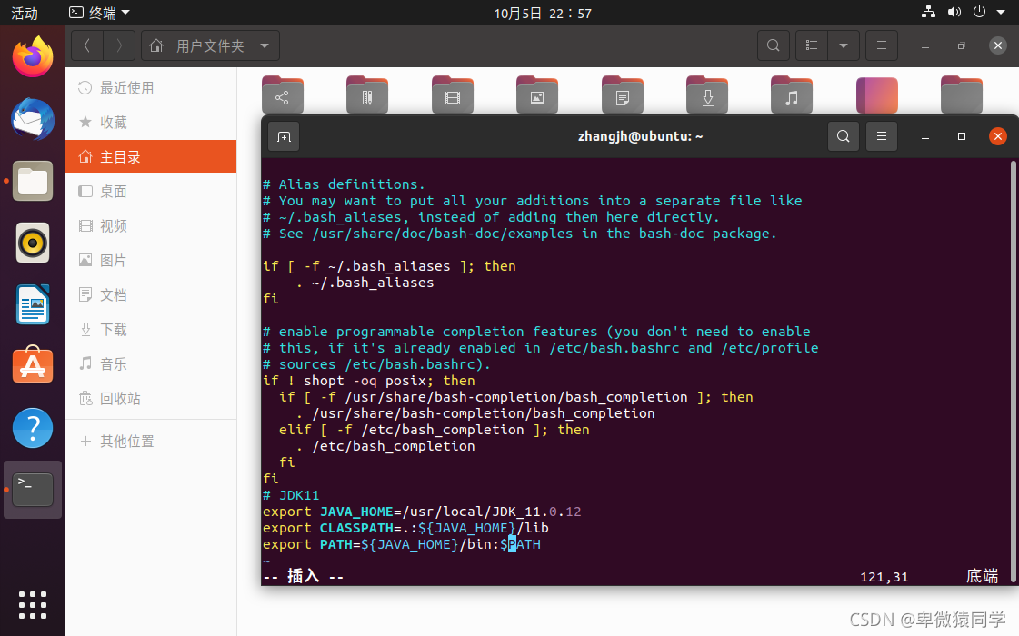 Linux系统下的JDK_11下载安装与环境配置_linux jdk11下载-CSDN博客
