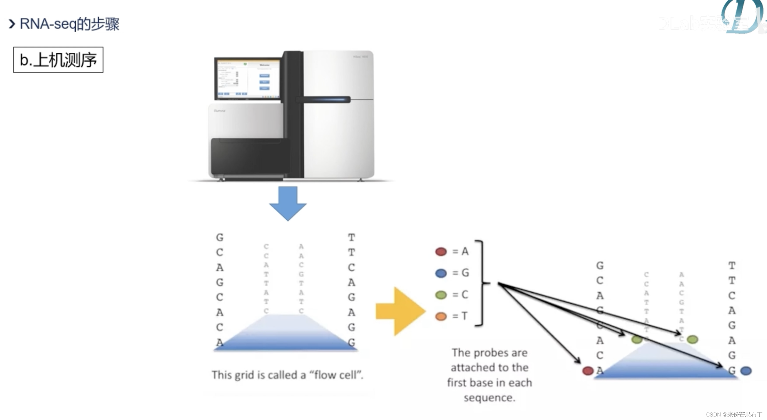 RNA-seq分析流程：从质控到差异表达,-CSDN博客