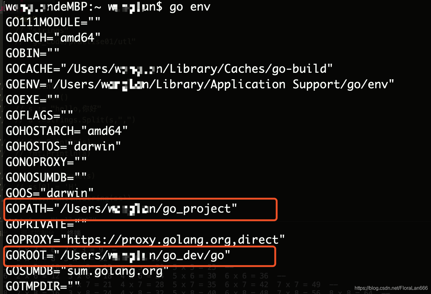 go语言查看环境变量 go env_哪些命令不能查看go语言环境-CSDN博客