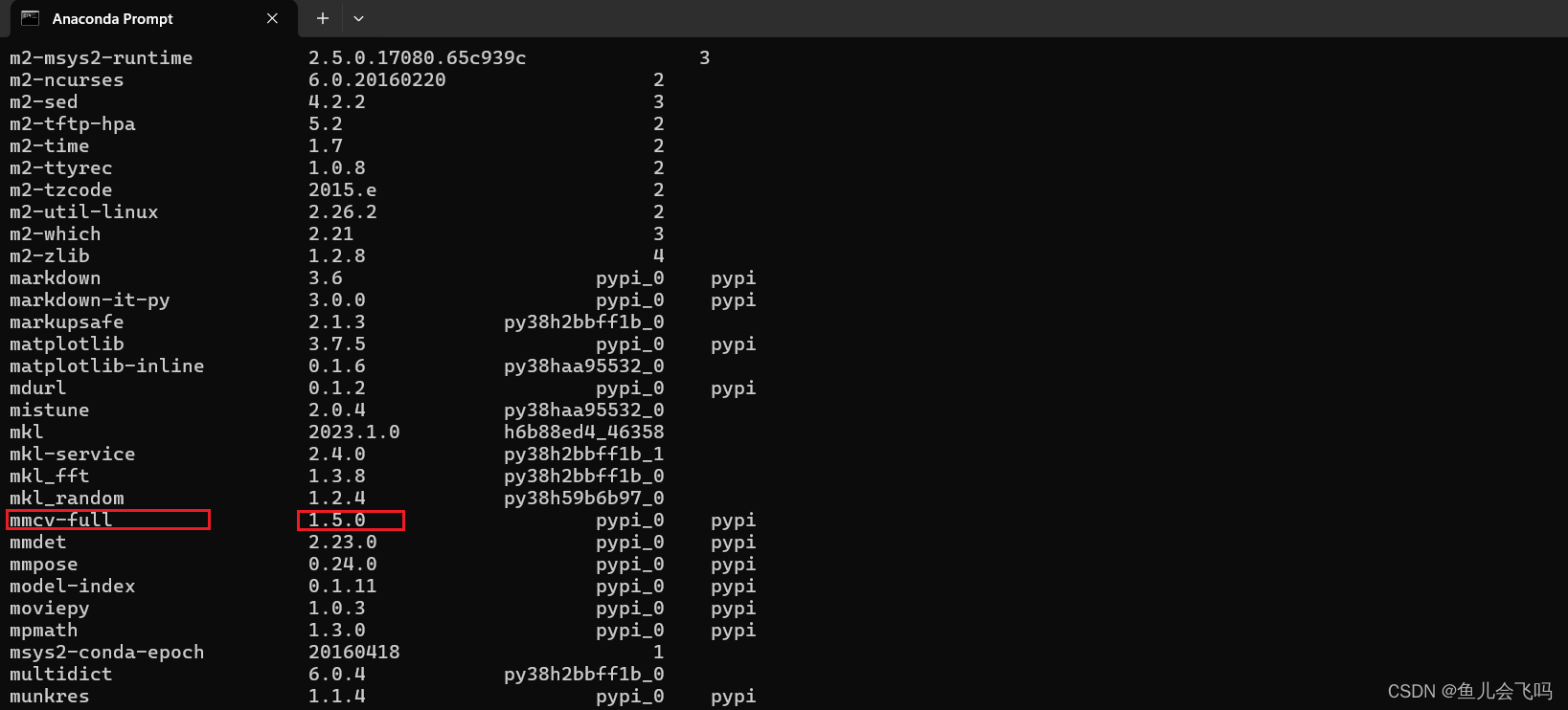 【MMCV】MMCV安装与踩坑_mmcv.runner安装-CSDN博客