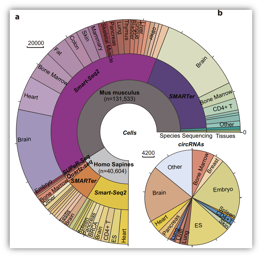 复现NC图表：Krona绘制嵌套饼图_ktimporttext-CSDN博客