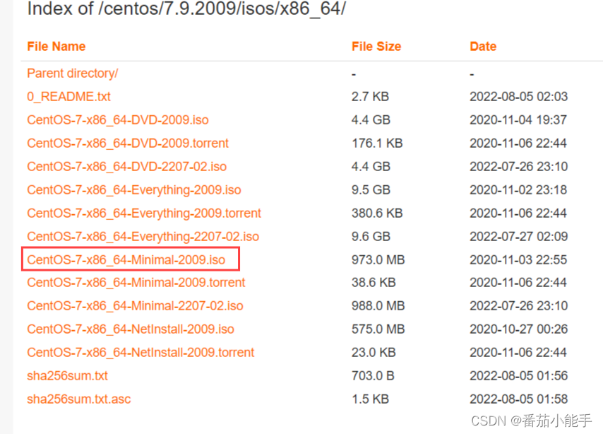 Linux系统之centos7编译安装Python 3.8_编译安装python3.8-CSDN博客