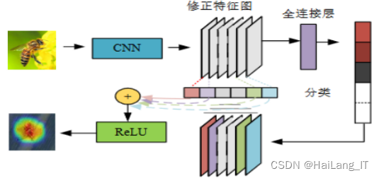 毕业设计：基于机器视觉的昆虫图像分类检测系统 ResNet_resnet 昆虫分类-CSDN博客