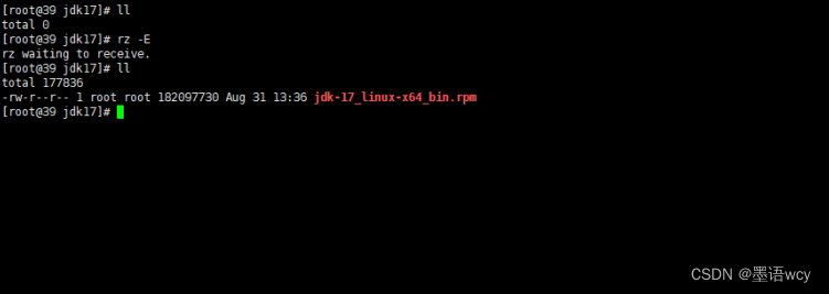 Linux RPM JDK升级_rpm 升级jdk-CSDN博客