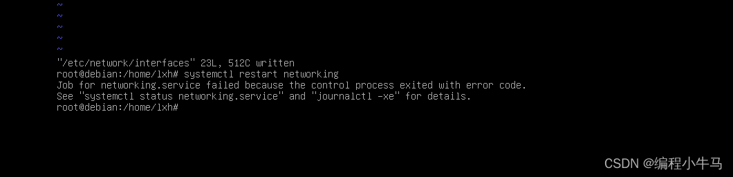 Debian系统如何进行多网卡配置并进行ping通_debian网卡配置-CSDN博客
