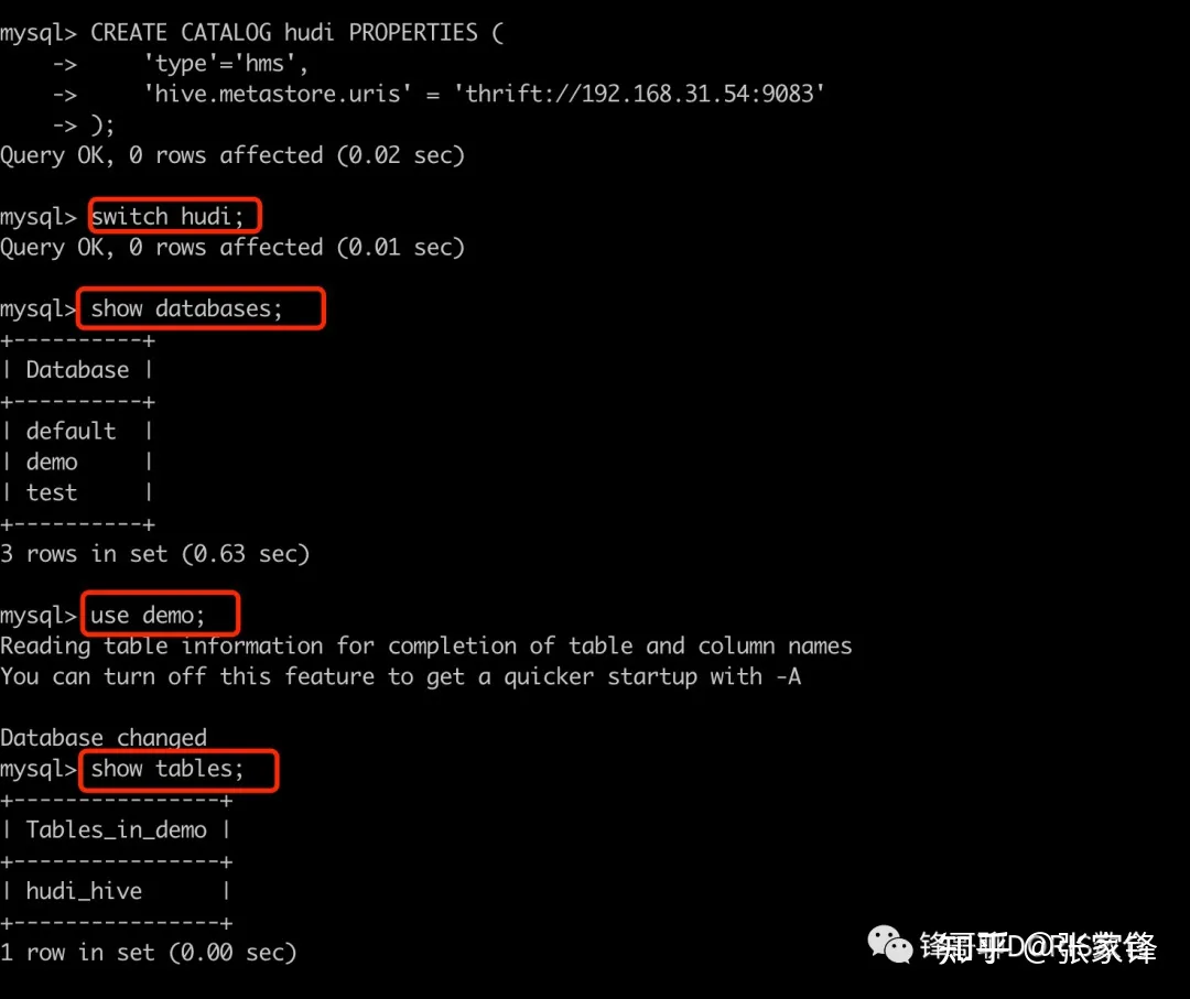 Apache Doris 整合 FLINK 、 Hudi 构建湖仓一体的联邦查询入门_doris 联邦查询-CSDN博客