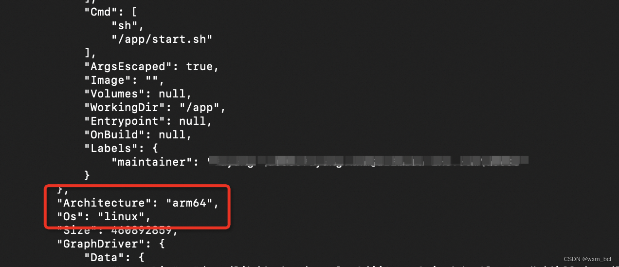 Docker构建不同平台架构（x86、arm）镜像_docker镜像区分x86和arm-CSDN博客