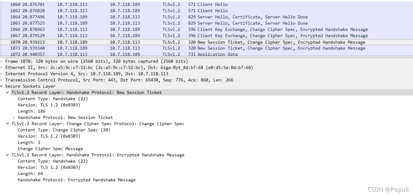 浅析SSL/TLS的会话流程和源码实现_tls会话-CSDN博客