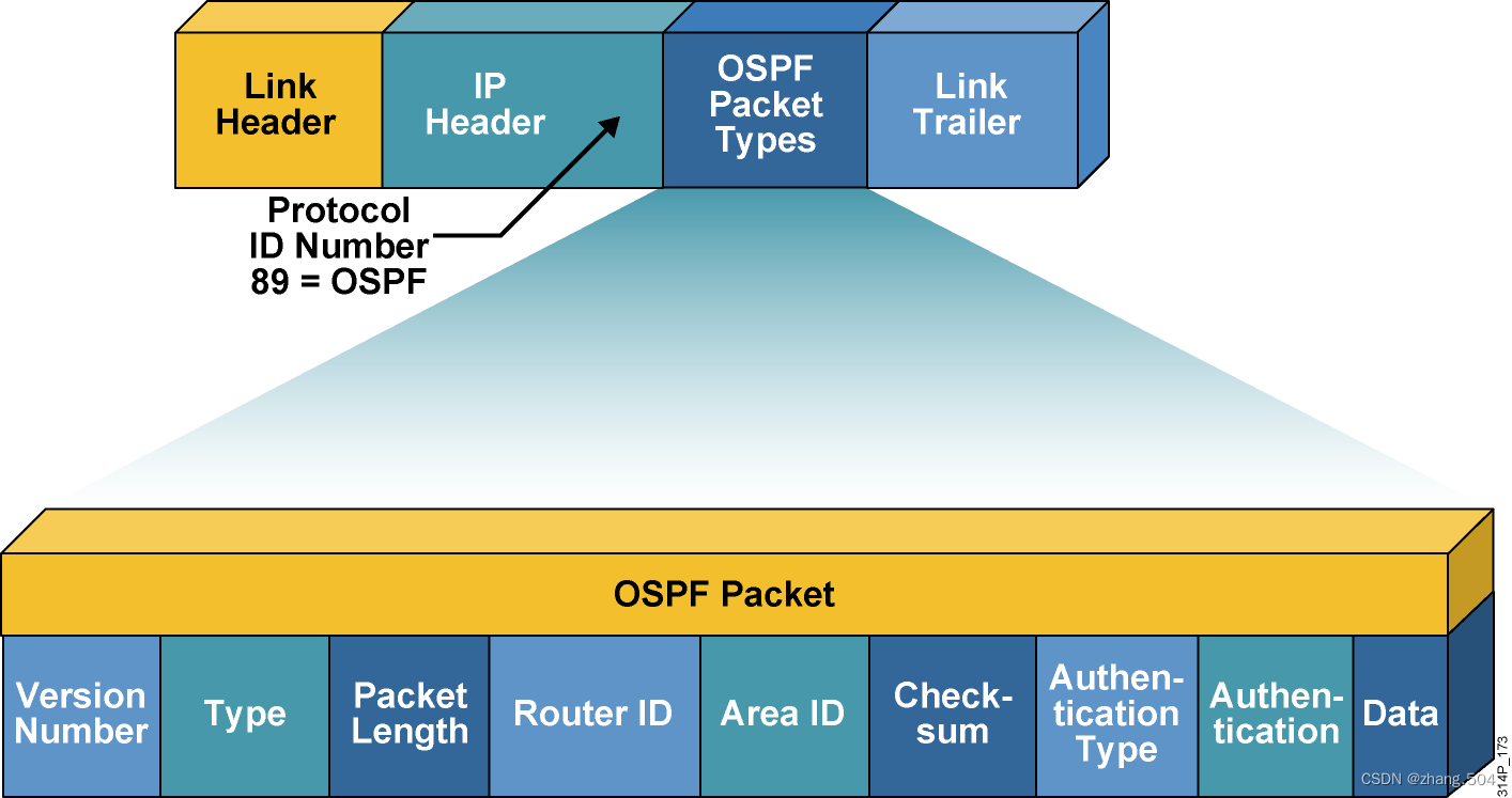 HCIP--OSPF（笔记1）_ospf 邻居重建时间-CSDN博客