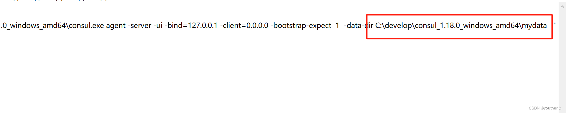 Consul 配置持久化_sc config consul start= auto-CSDN博客