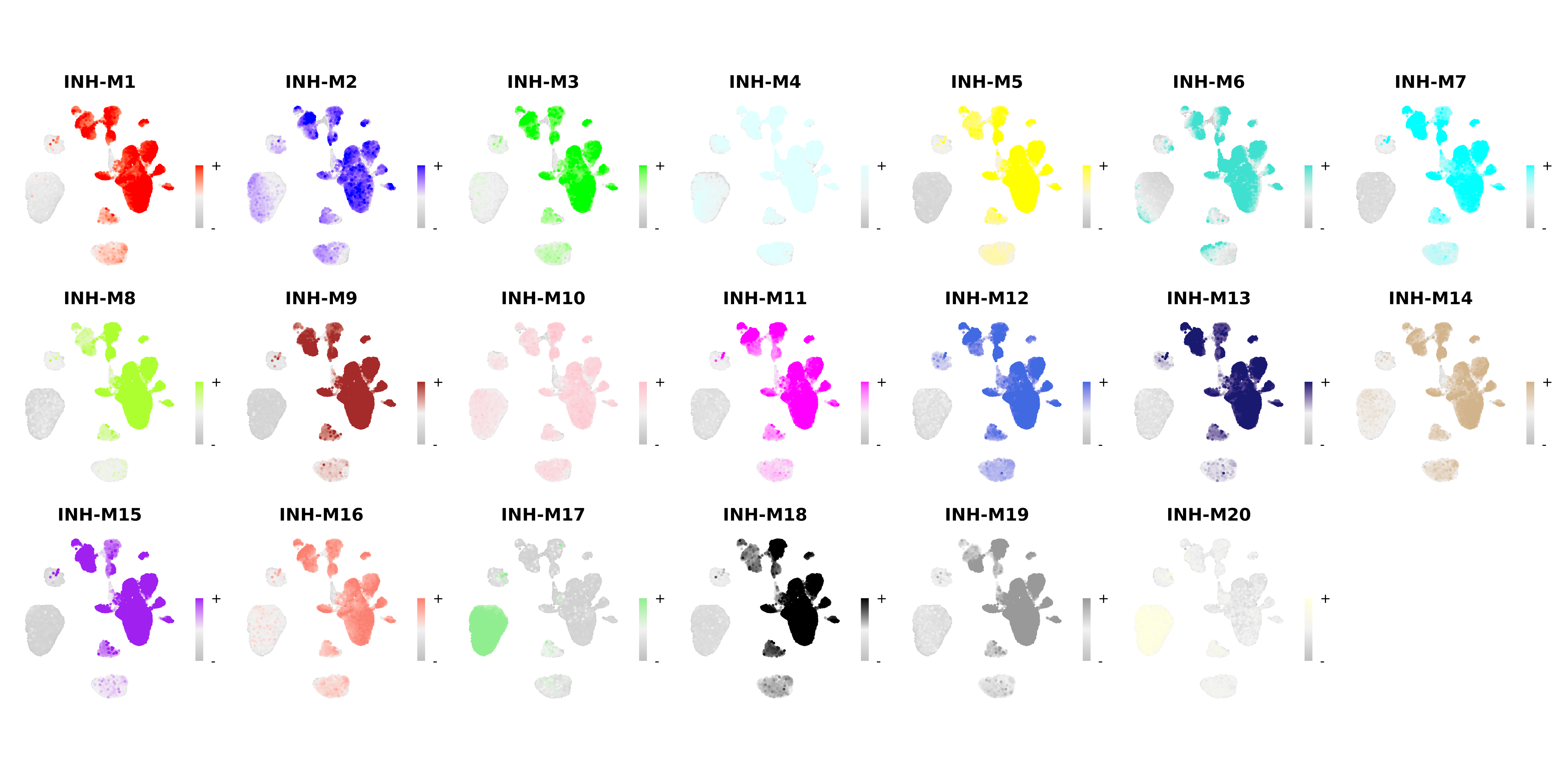 hdWGCNA | 单细胞(scRNA)和空间转录组共表达网络分析_r语言 hdwgcna分析代码-CSDN博客
