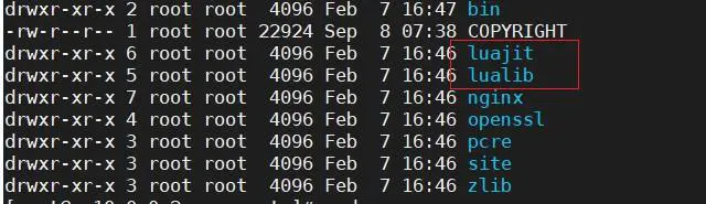 基于OpenResty部署LUA脚本开发_openresty lua开发-CSDN博客