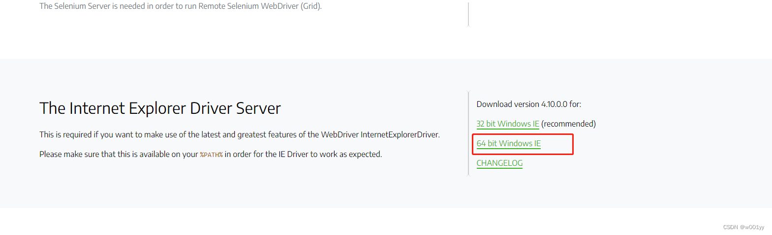 selenium的java方式打开IE浏览器_java selenuim打开ie浏览器-CSDN博客