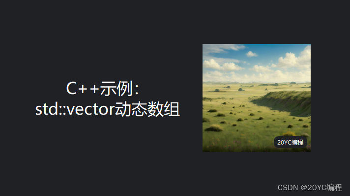 C示例:学习c标准库stdvector动态数组的使用std Vector Csdn博客