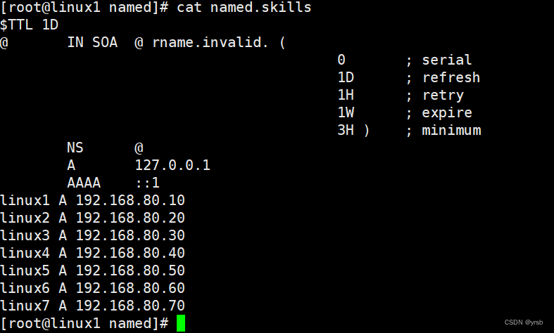 22年国赛正式题（服务）_cp -a named.localhost named.skills cp -a named.loo-CSDN博客