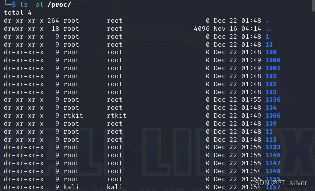 Linux的/proc/self/学习_flag常存放在proc里-CSDN博客