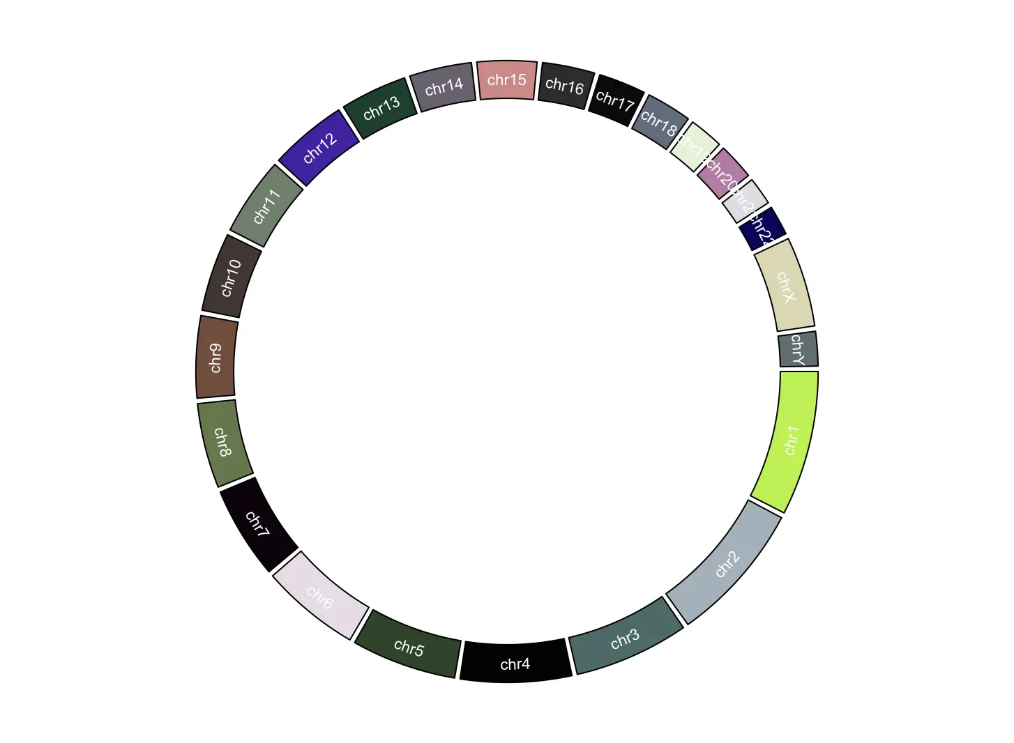 R 数据可视化 —— circlize 基因组初始化_circos.genomictrack-CSDN博客