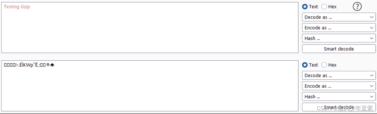 【THM】Burp Suite：Other Modules（其他模块）-初级渗透测试_burp suite: other modules-CSDN博客