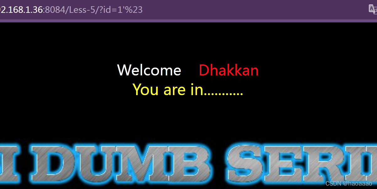 网安学习——web漏洞（上）_中危漏洞-CSDN博客