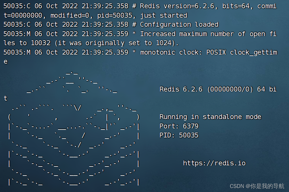 Redis安装与配置-CSDN博客