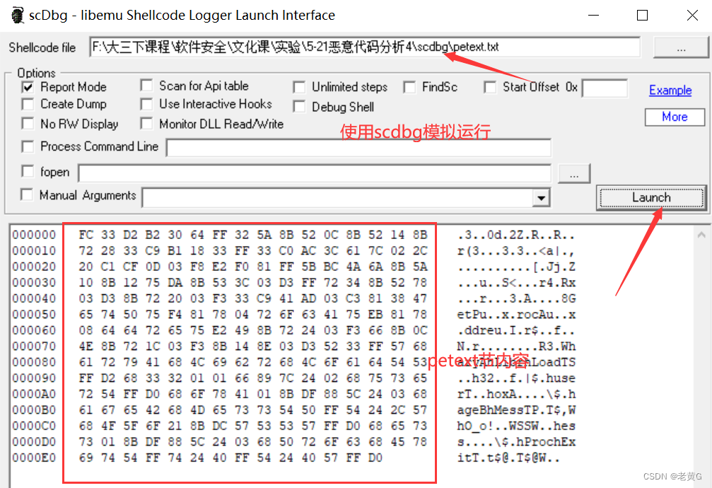 软件安全课堂实验_ldr文件地址查找-CSDN博客