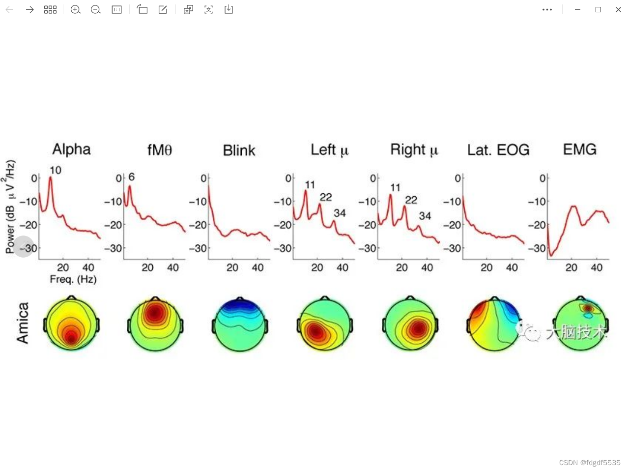 EEGLAB函数实例：数据处理与分析工具,-CSDN博客