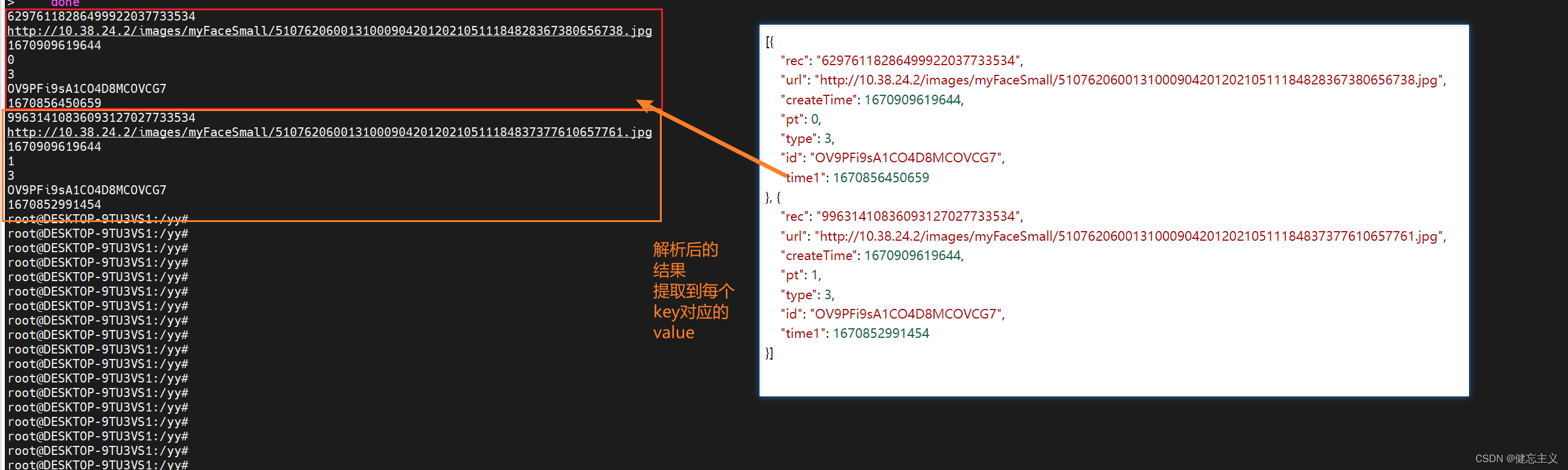 linux shell 解析json数组_shell解析json数组-CSDN博客