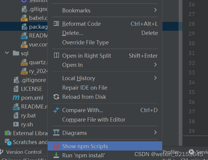 Idea运行前端项目--配置node_idea配置node-CSDN博客