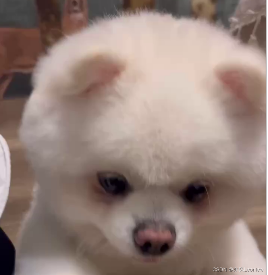 Python Opencv实践 视频目标追踪meanshiftpython中使用opencv对视频中多对象进行实时追踪 Csdn博客