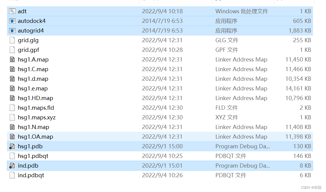 在autodock中run autogrid出现[Error 2]从而得不到.map文件以及一闪而过的情况可能的解决方案_autodock运行一闪而过-CSDN博客