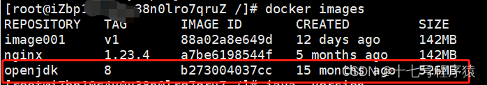 docker拉取jdk镜像报错：Error response from daemon: manifest for java:8 not found: manifest unknown ...