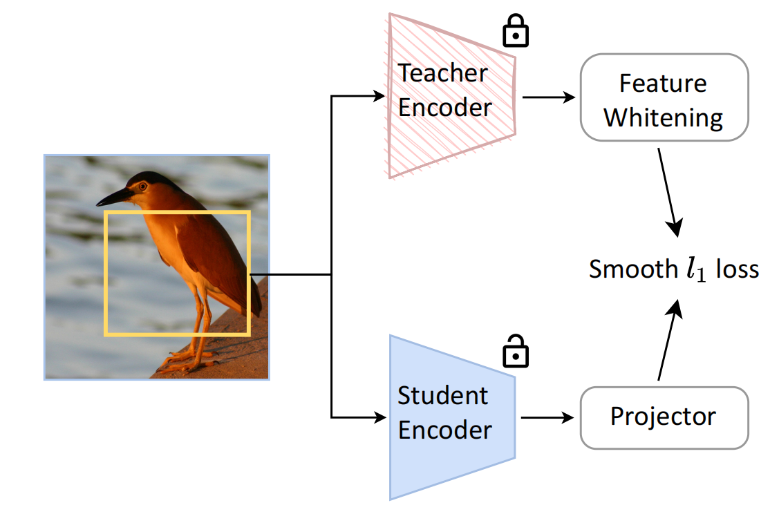 Contrastive Learning Rivals Masked Image Modeling in Fine-tuning via ...