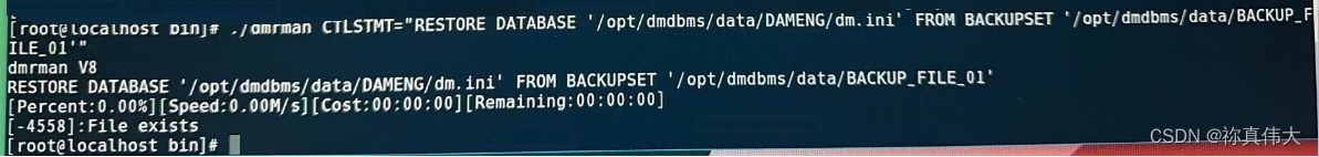 DM8:达梦数据库备份还原报错-文件已存在 -4558 file exists_[-4558]:文件已存在-CSDN博客