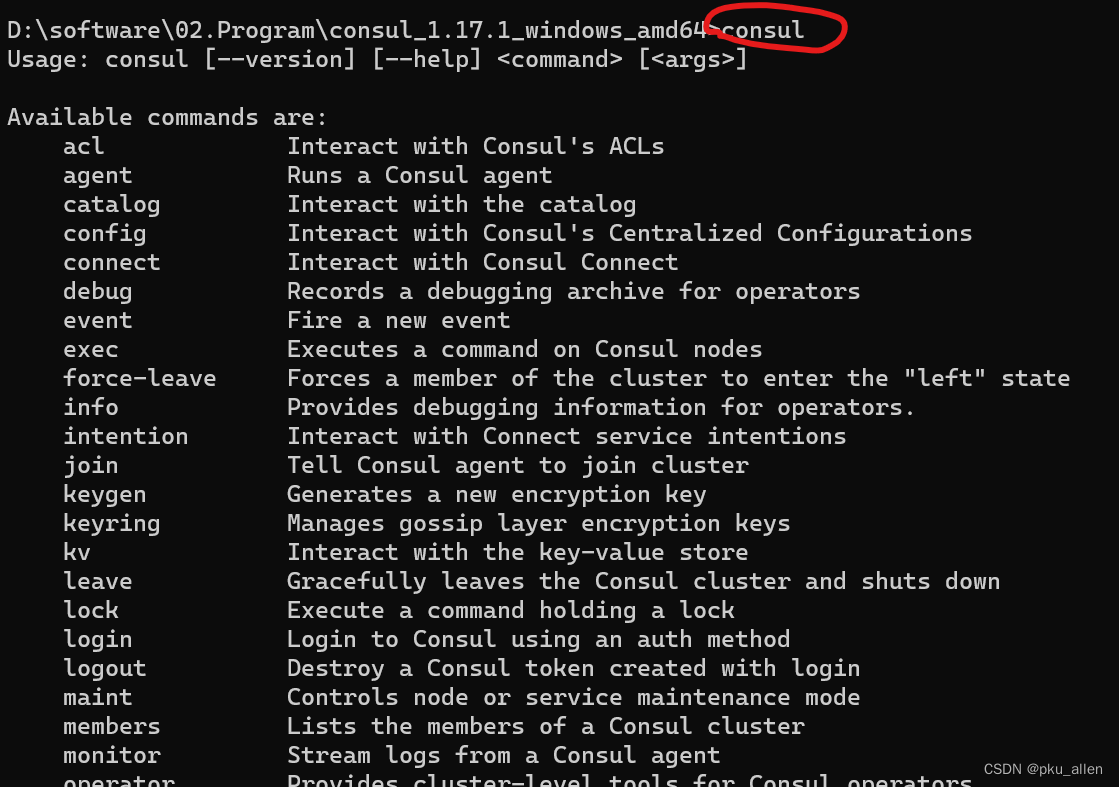 Consul使用入门_consul使用教程-CSDN博客