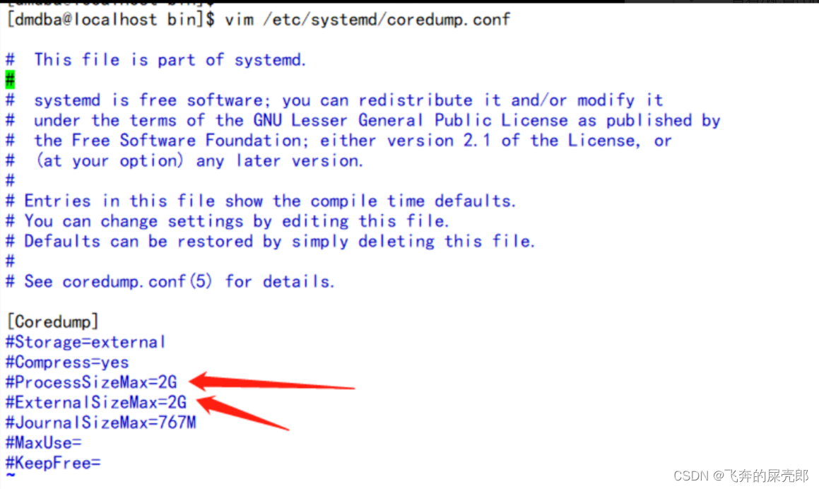 【与达梦同行】数据库coredump的配置方式与截断测试_coredump.conf-CSDN博客